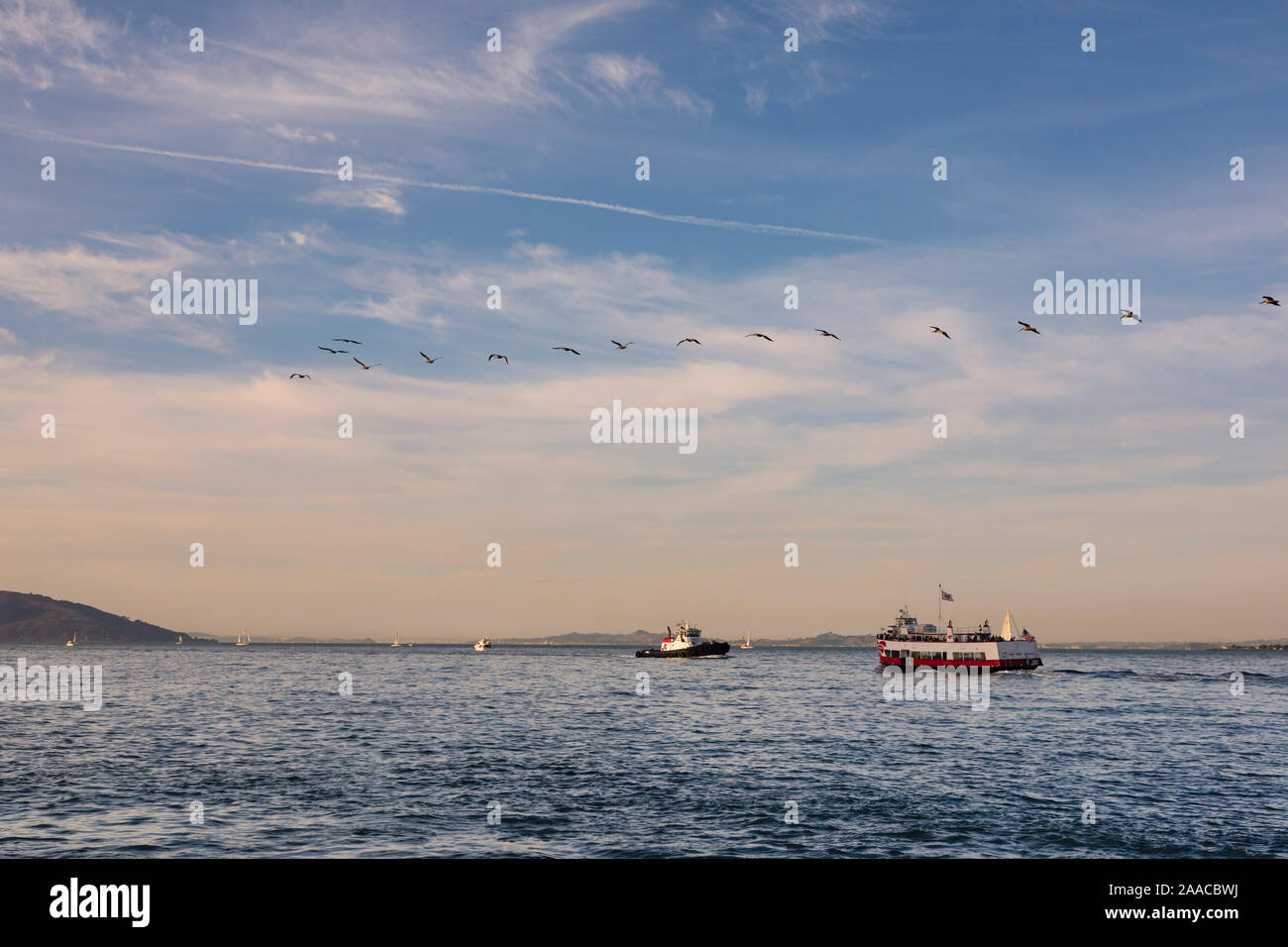 Flock of ship hi-res stock photography and images - Alamy