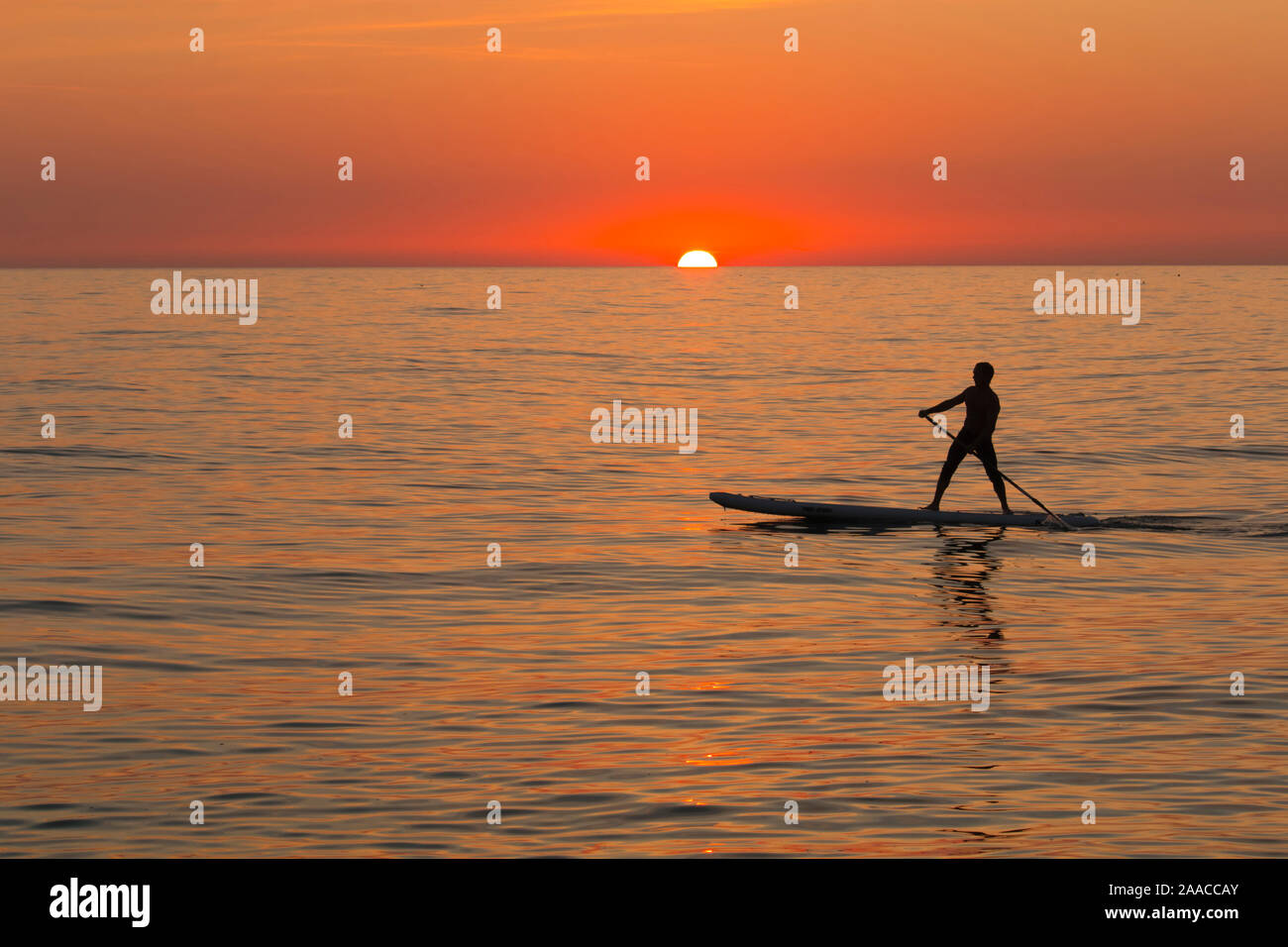 Young Man Paddle Boarding High Resolution Stock Photography and Images ...