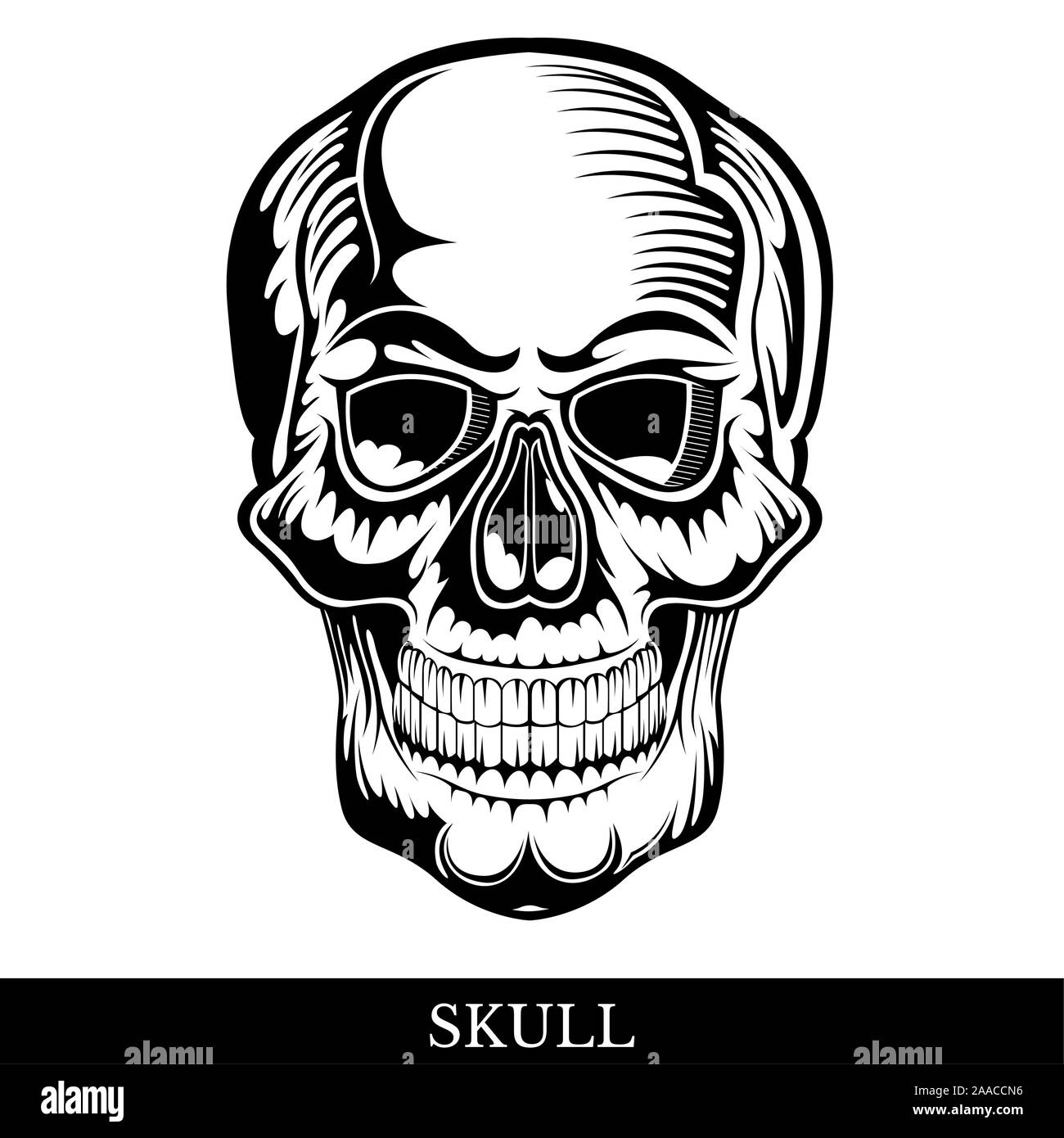 Lower jaw front teeth Black and White Stock Photos & Images - Alamy