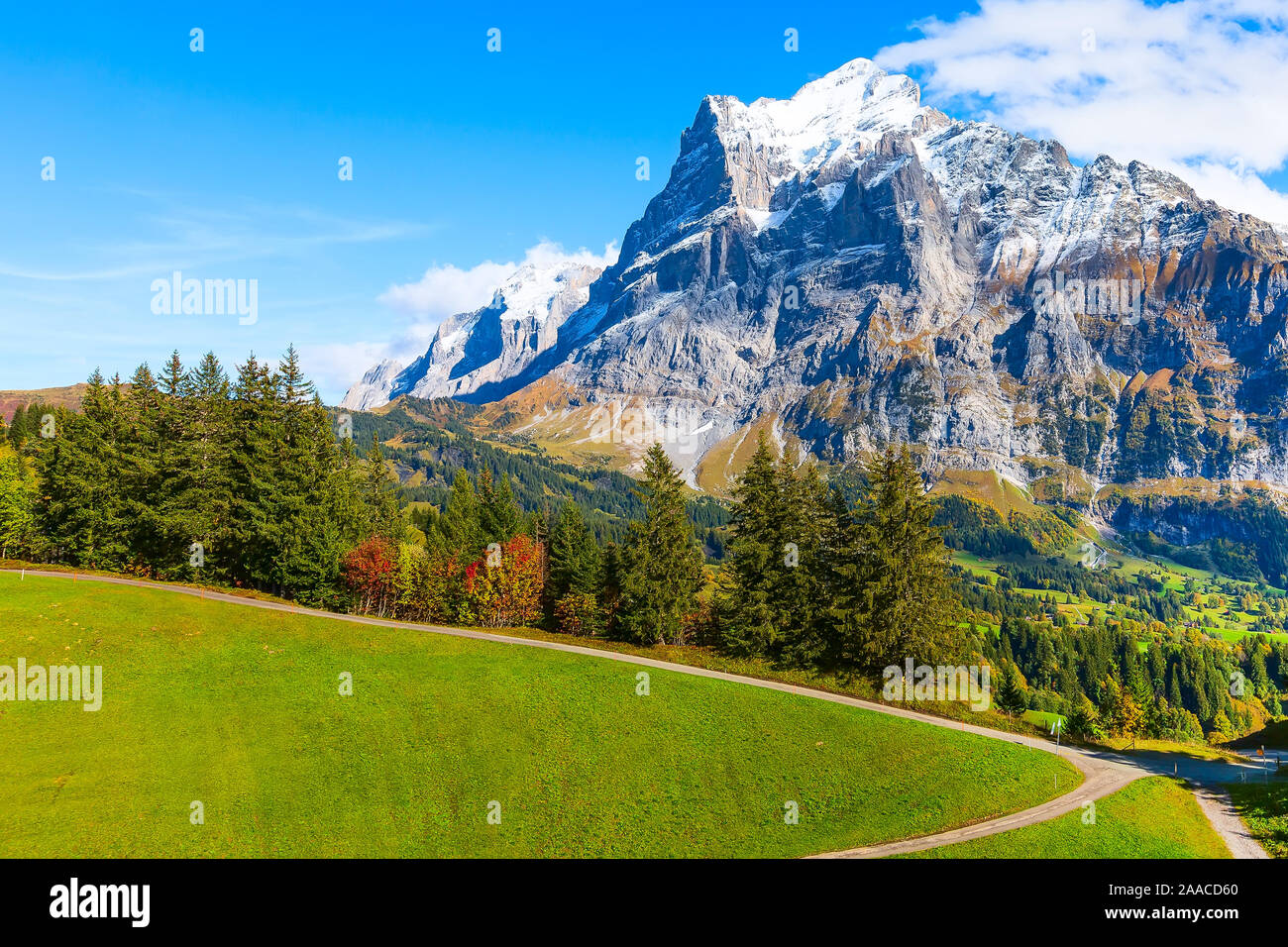 Jungfraujoch, Switzerland aerial view of colorful autumn trees in Swiss ...