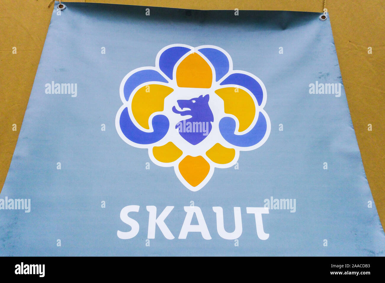 Scouting hi-res stock photography and images - Alamy