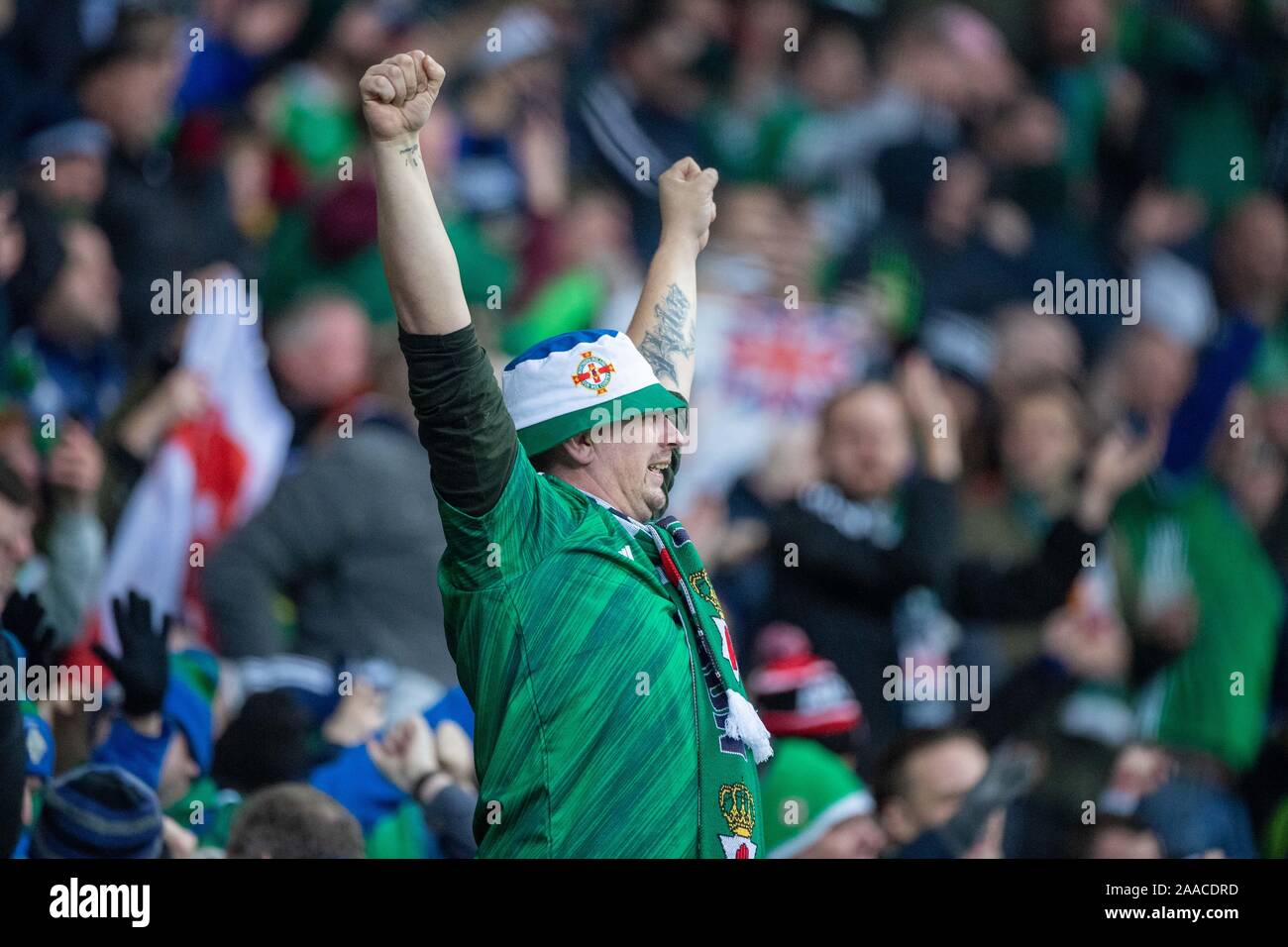 Ireland fan cheers on her team hi-res stock photography and images - Alamy