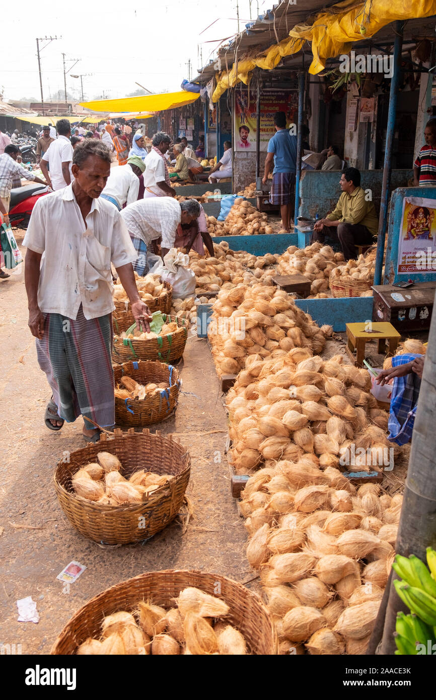 Row of coconut market stalls iat the Gandhi market in Tiruchirappalli ...