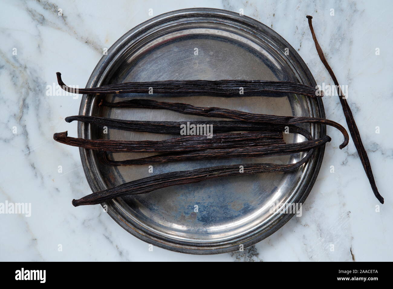 Vanilla pods (Vanilla planifolia), India, Asia Stock Photo - Alamy