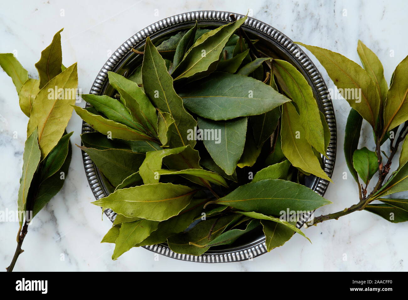 Laurel leaves hi-res stock photography and images - Alamy