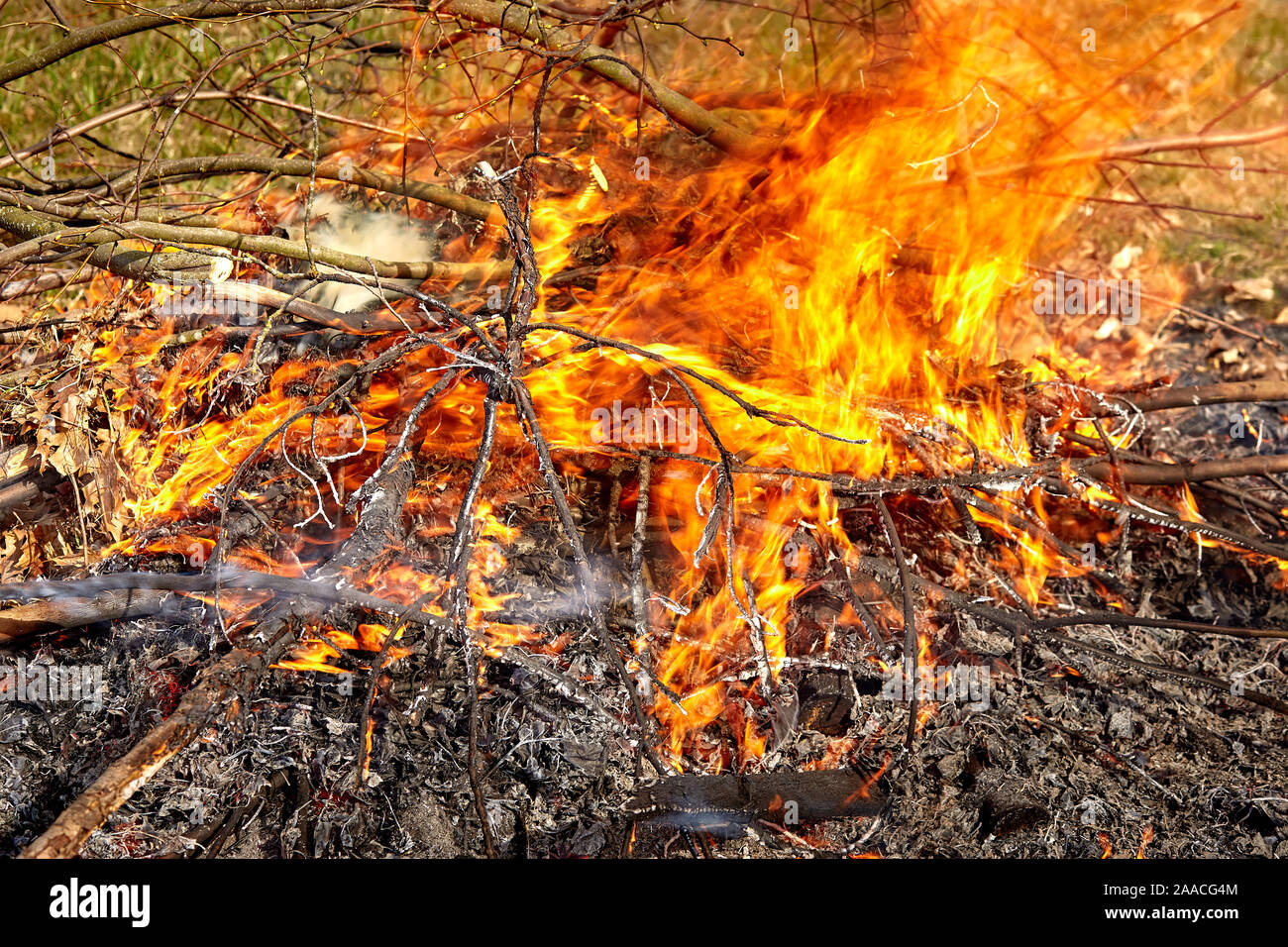 Bonfire closeup.Ignite the fire. Burning branches and wood Stock Photo ...