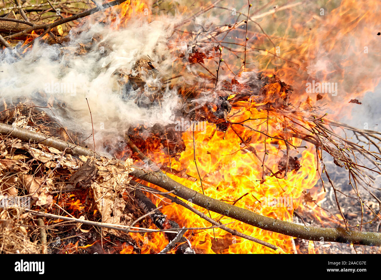 Bonfire closeup.Ignite the fire. Burning branches and wood Stock Photo ...