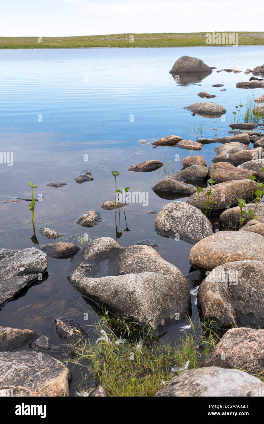 landscape in protected park area Borga Eggum in Eggum in Lofoten in ...