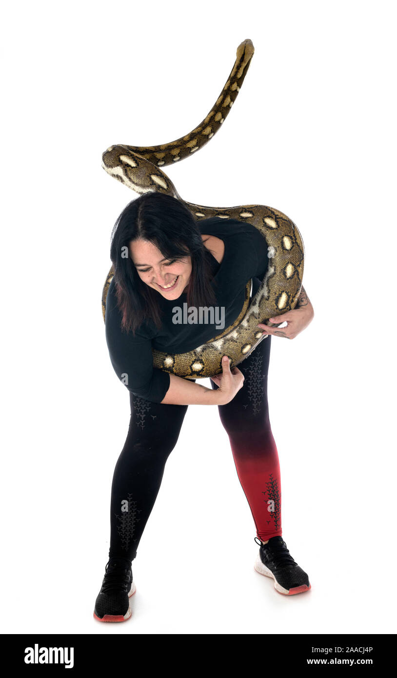 Reticulated python in front of white background Stock Photo - Alamy