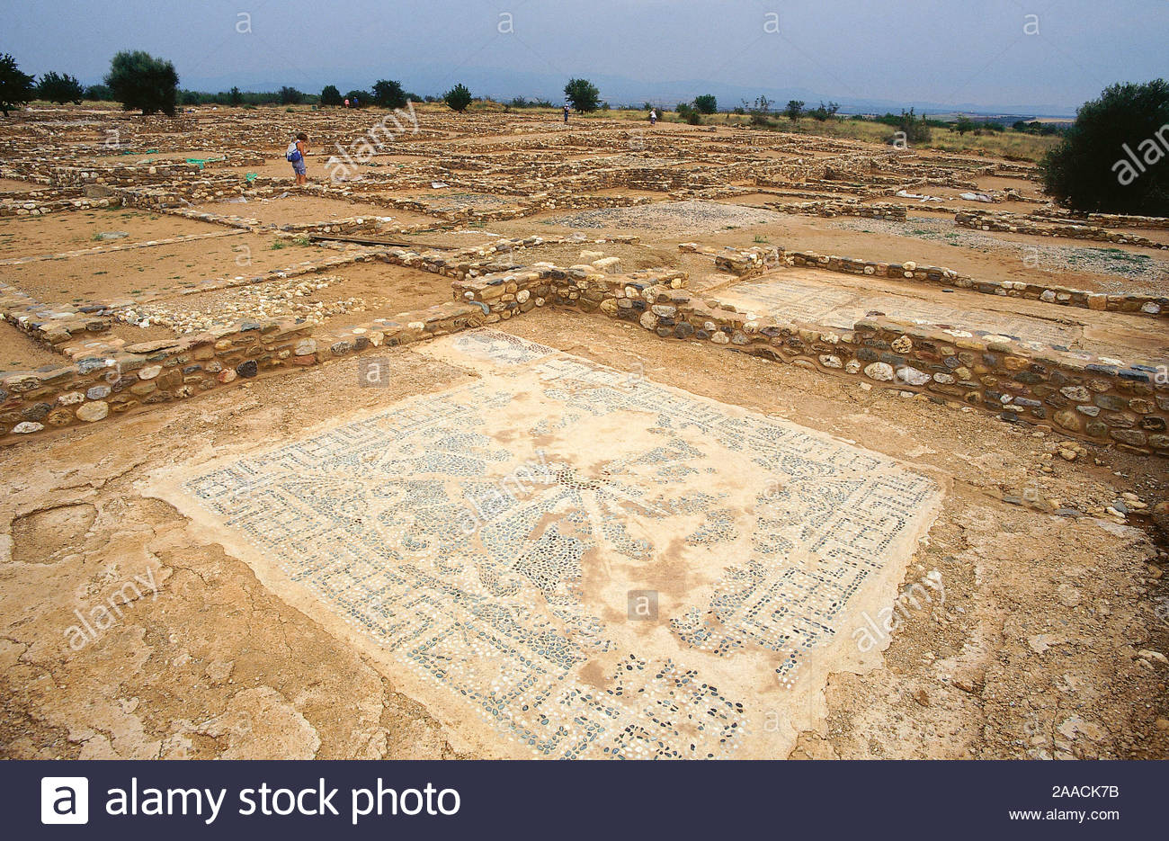 Olynthus Stock Photos & Olynthus Stock Images - Alamy