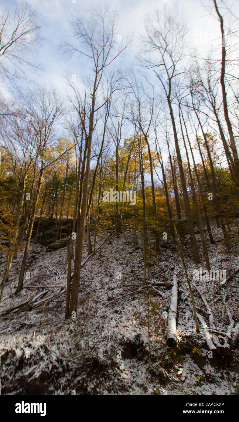 Hemlock Cliffs After a Light Snow, Indiana Stock Photo - Alamy