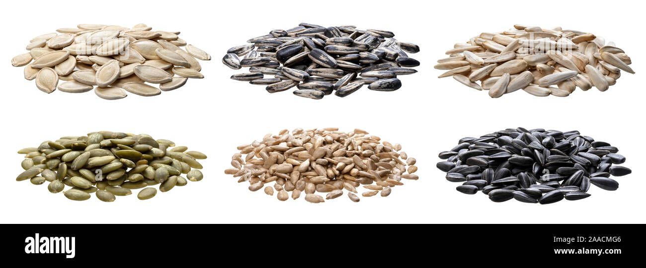Collection of various seeds isolated on white background Stock Photo ...