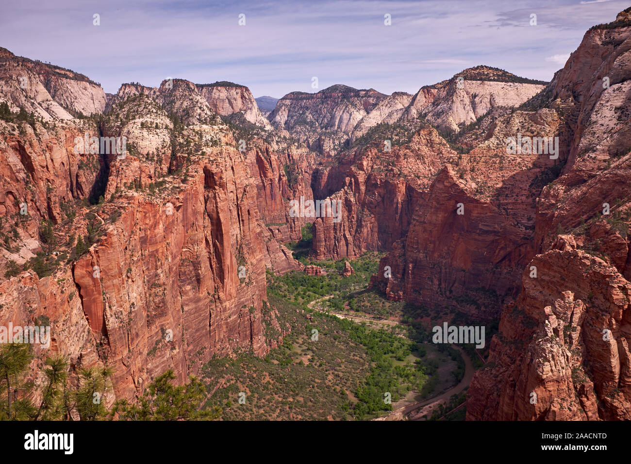 Zion Canyon from Angels Landing in National Park, Utah, USA Stock Photo ...
