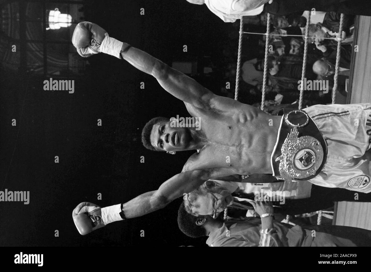 Boxing collins hi-res stock photography and images - Alamy