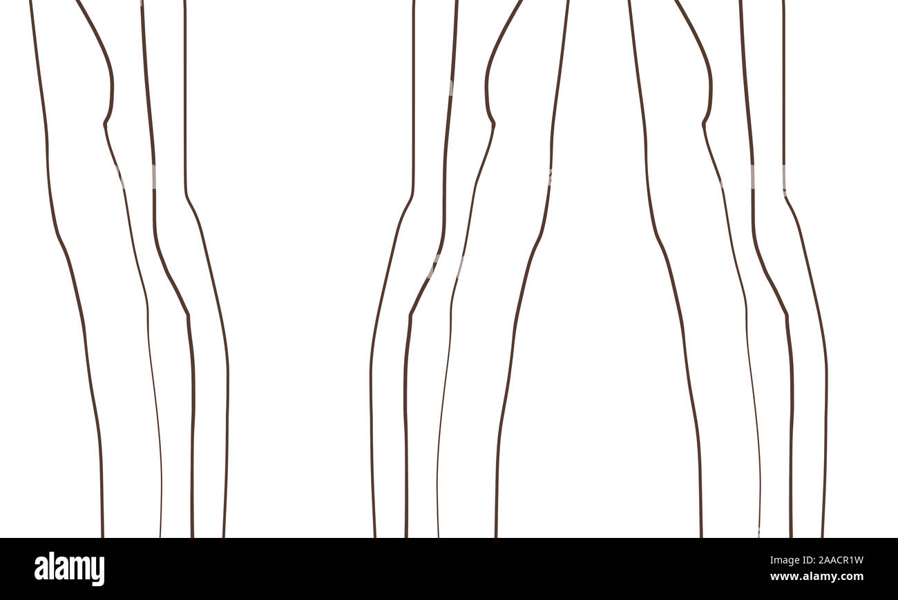 Seamless tree bark wood texture Cut Out Stock Images & Pictures - Alamy