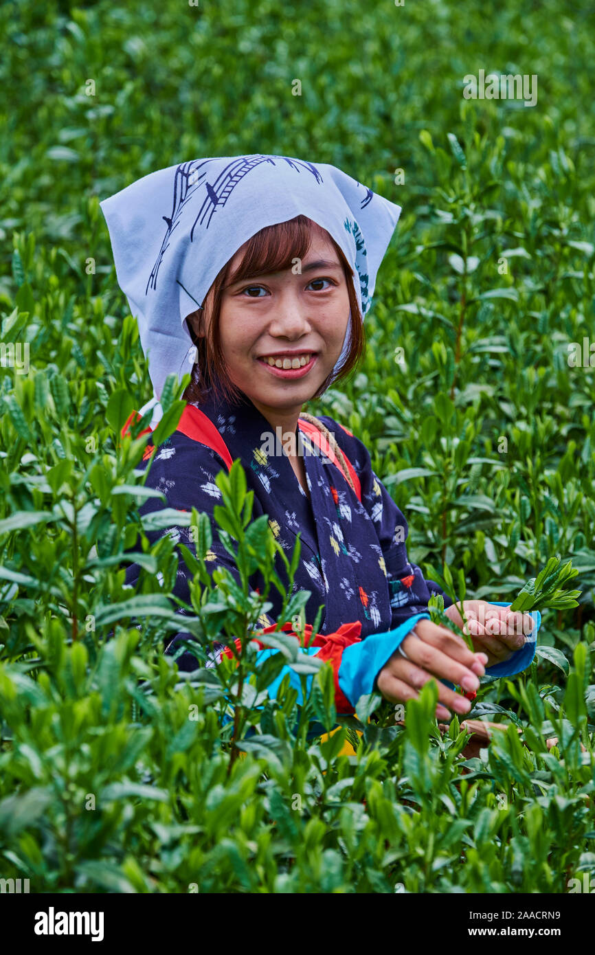 Japan, Honshu island, Kansai region, Uji, festival for the spring first ...