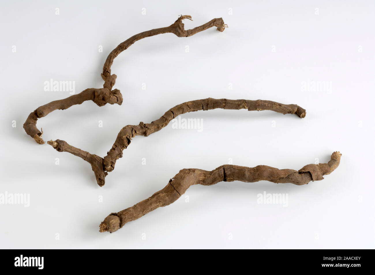 Medikamenten herstellung hi-res stock photography and images - Alamy