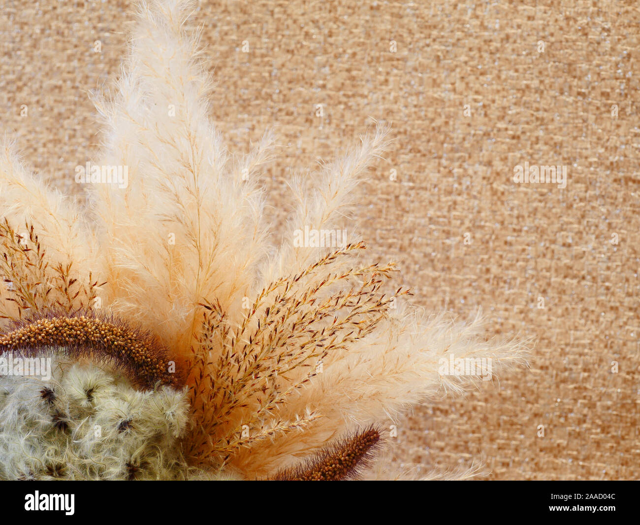 Dried grasses arrangement, part of Stock Photo - Alamy