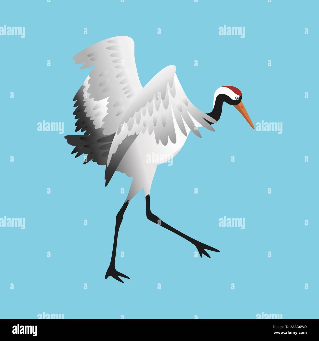 Japanese dancing red-crowned crane in different poses isolated Stock ...