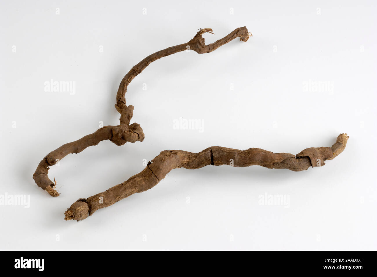 Medikamenten herstellung hi-res stock photography and images - Alamy