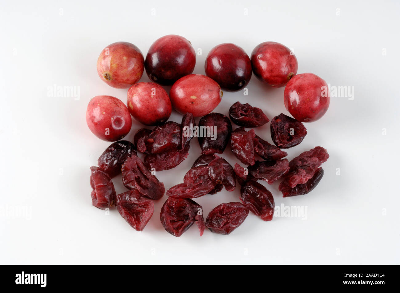 Cranberries fresh and dried / (Vaccinium vitis-idaea) / Preiselbeeren ...