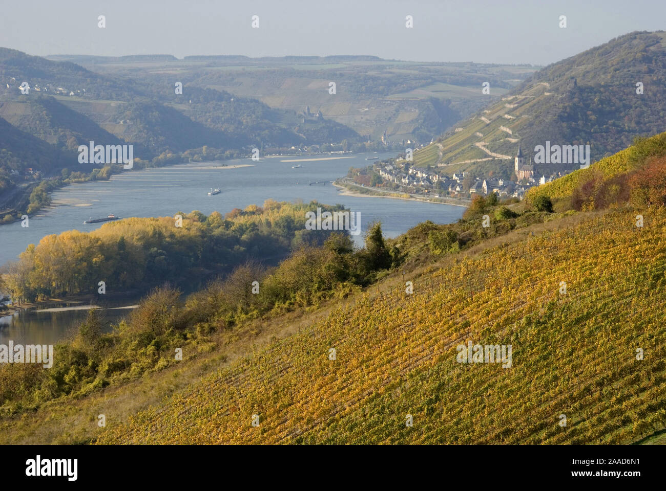 Europa; Deutschland; Rheinland-Pfalz; Mittelrhein; Rheintal; Fluss ...