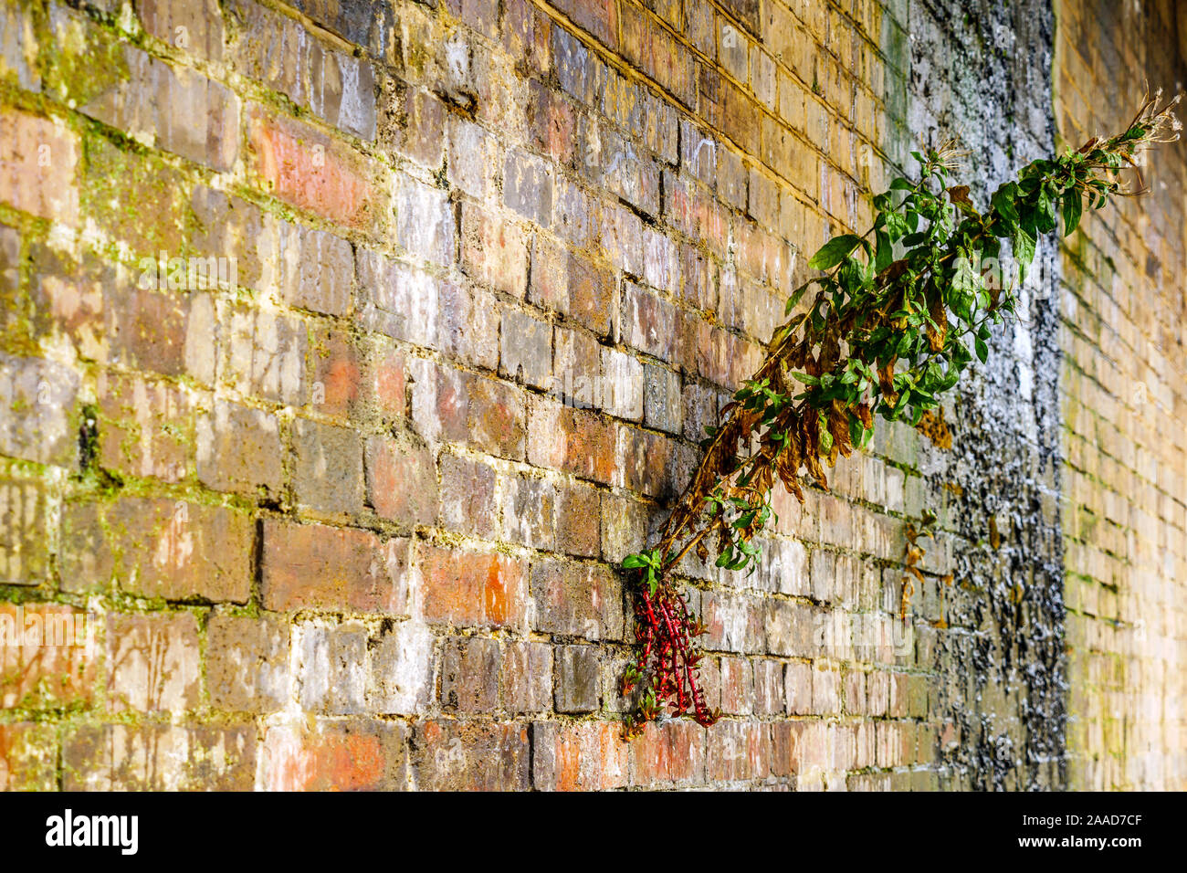 rusty brick wall under railway bridge in england uk Stock Photo - Alamy