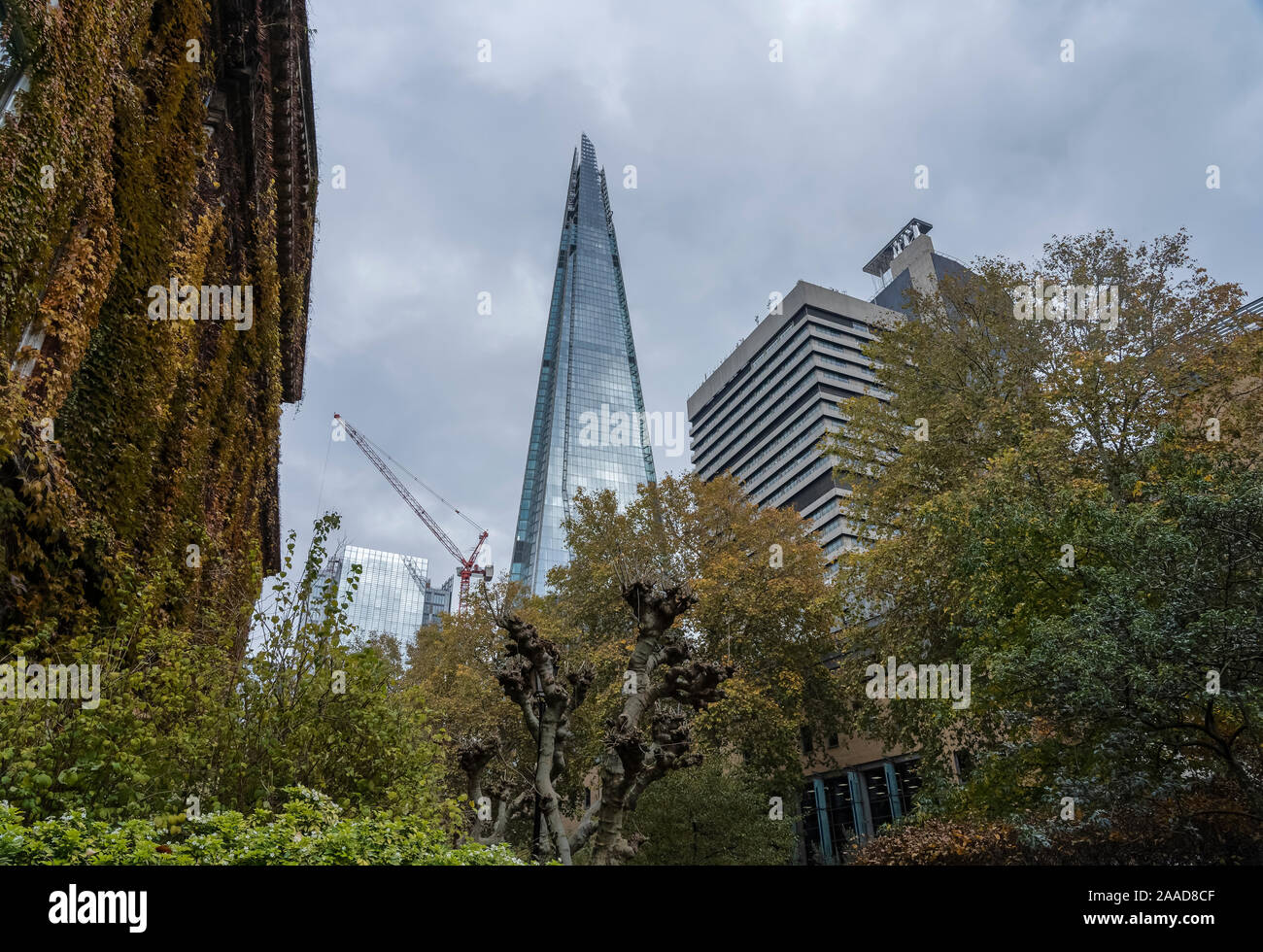 The shard with trees hi-res stock photography and images - Alamy