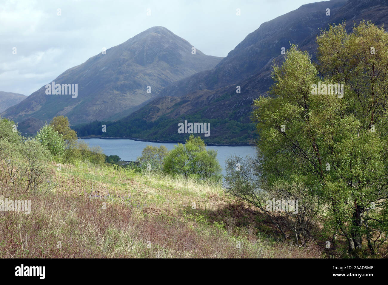 The Scottish Mountain Corbett 'Garbh Bheinn' from the Shores of Loch ...