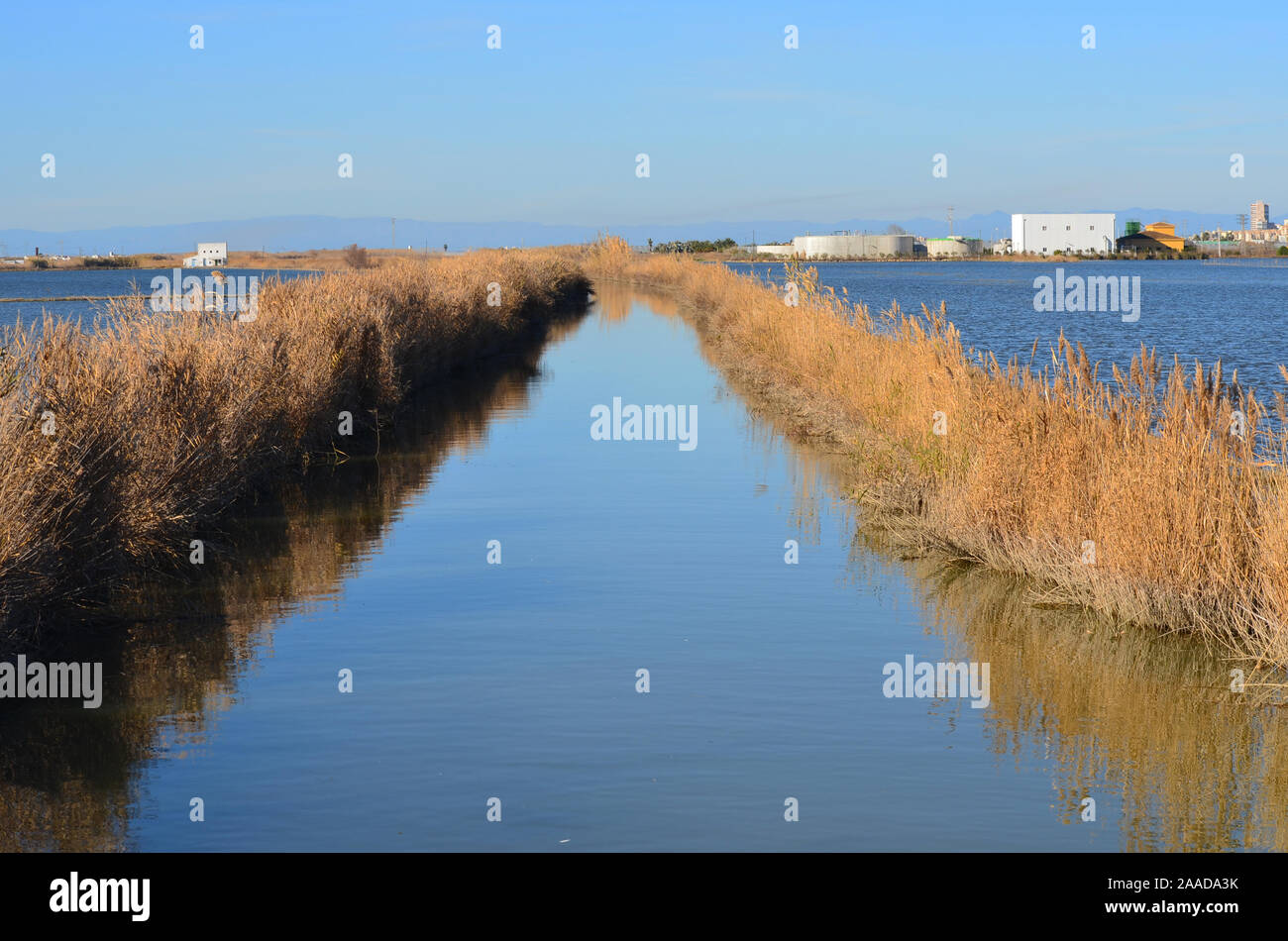 The Albufera natural park, a wetland of international importance in ...