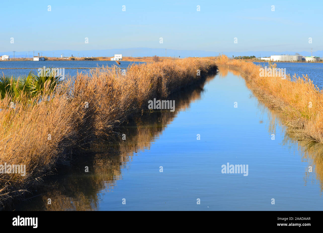 The Albufera natural park, a wetland of international importance in ...