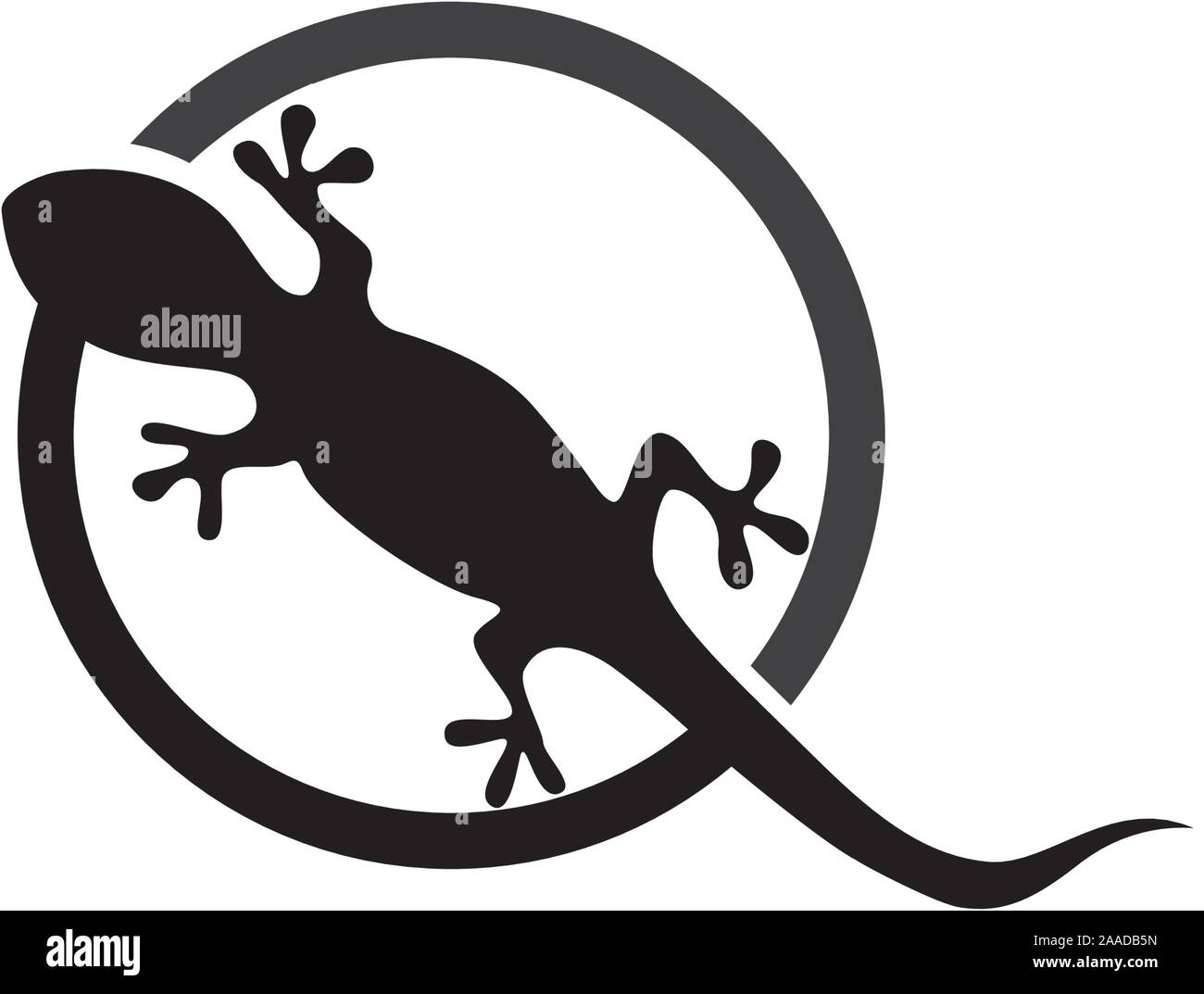 Gecko species vector vectors hi-res stock photography and images - Alamy