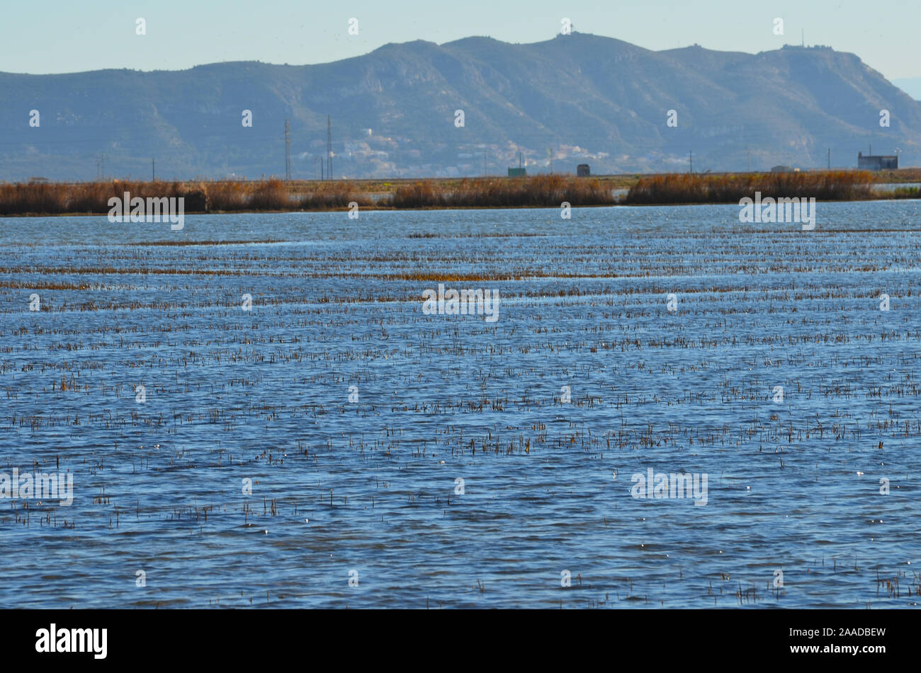 The Albufera natural park, a wetland of international importance in ...