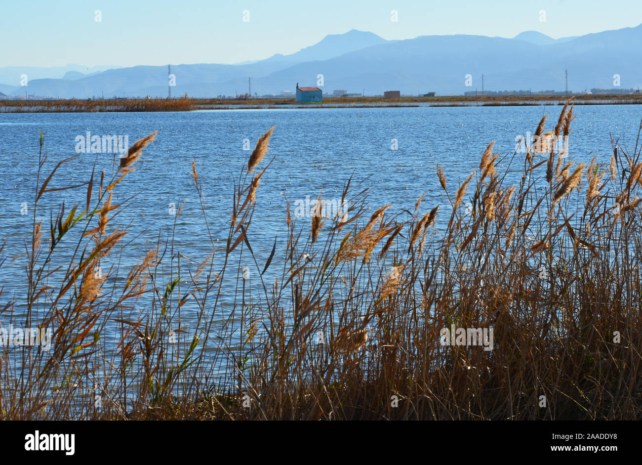 The Albufera natural park, a wetland of international importance in ...