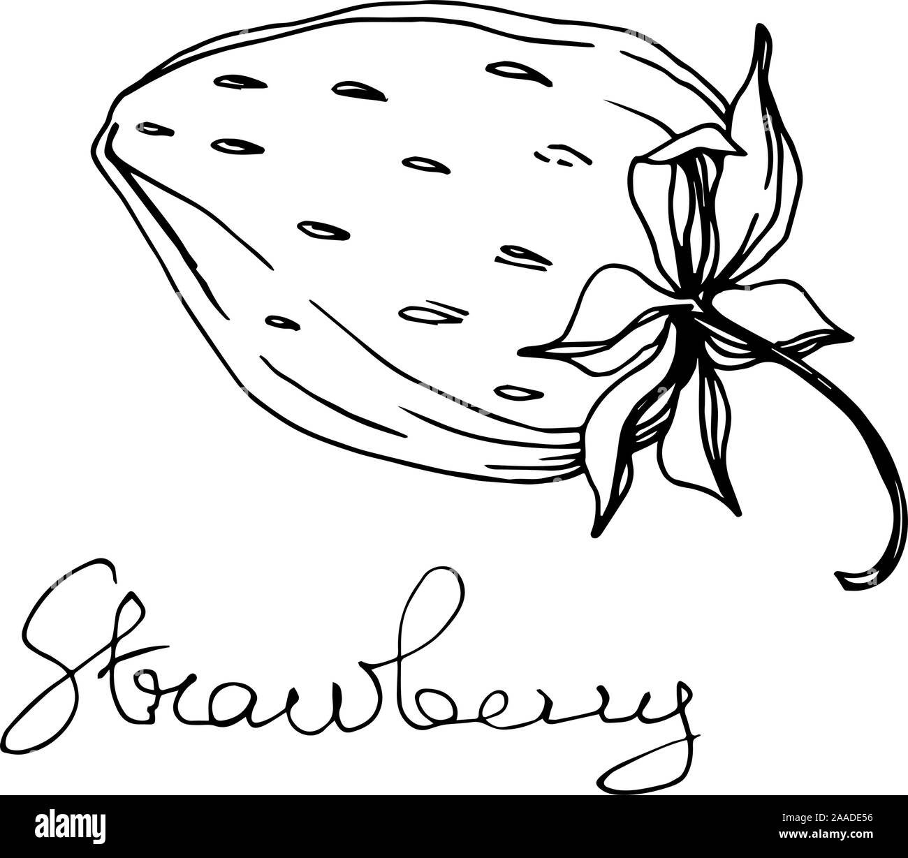 6310 Stock Vector Images - Alamy