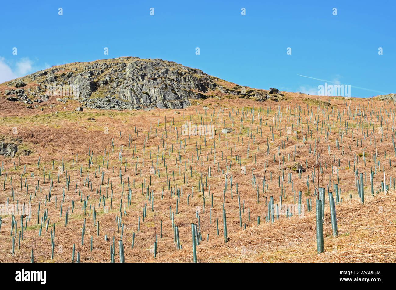 Haweswater hi-res stock photography and images - Alamy