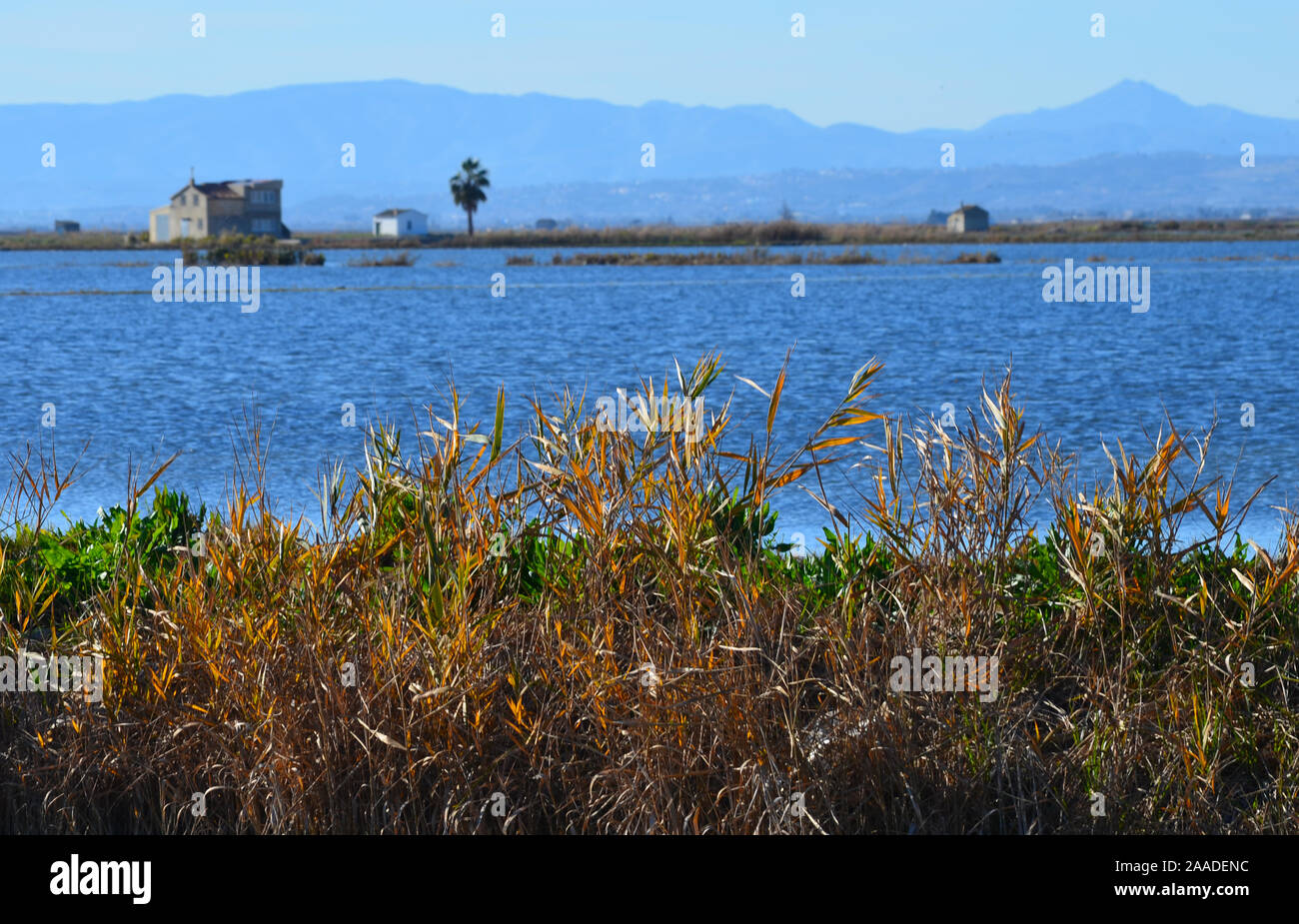 The Albufera natural park, a wetland of international importance in ...