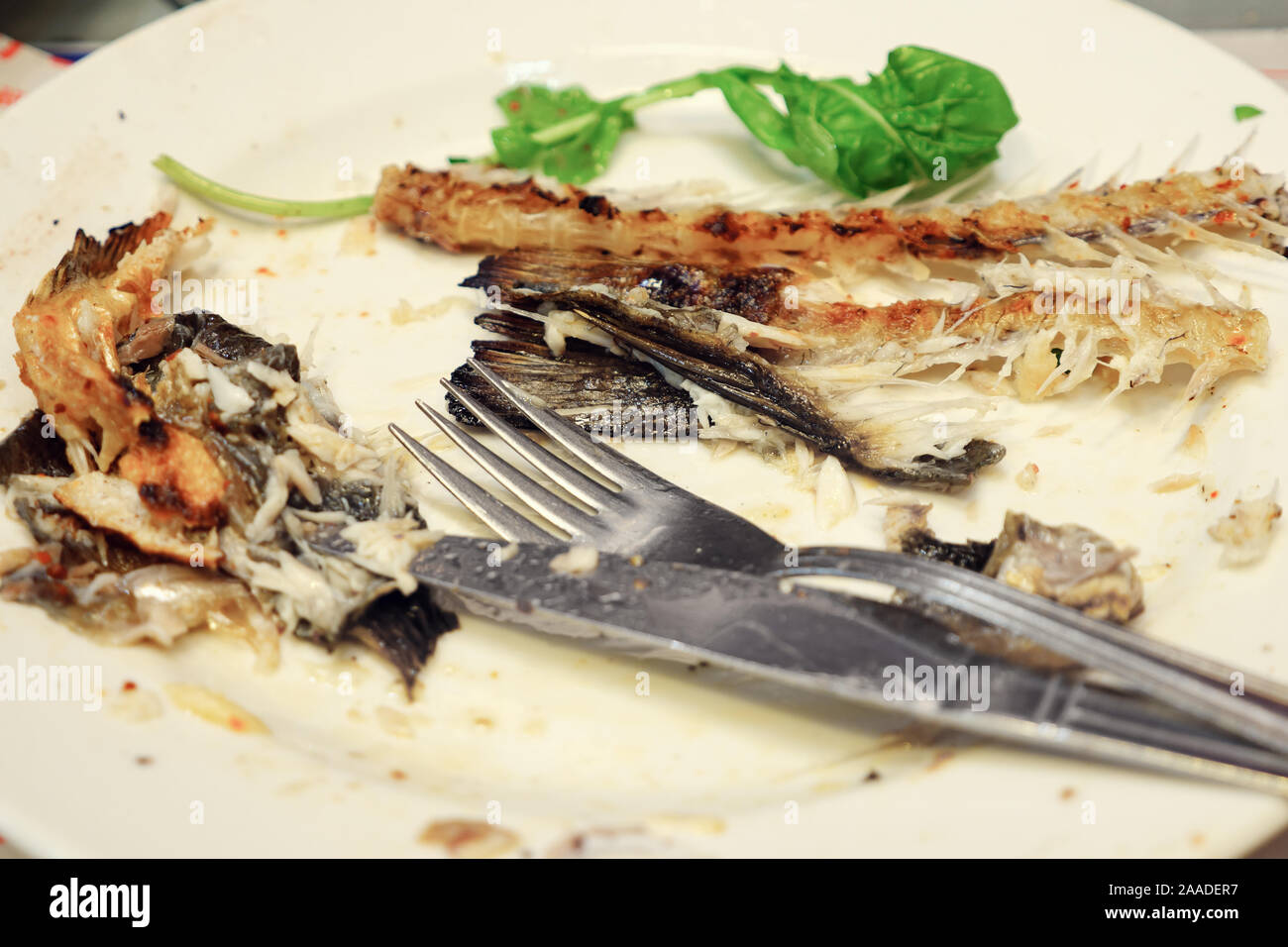 remains of eaten fish on a plate, fork and knife closeup Stock Photo ...