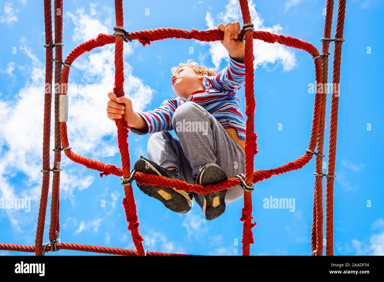 Blond boy perched on a web rope-ladder structure in a children's ...