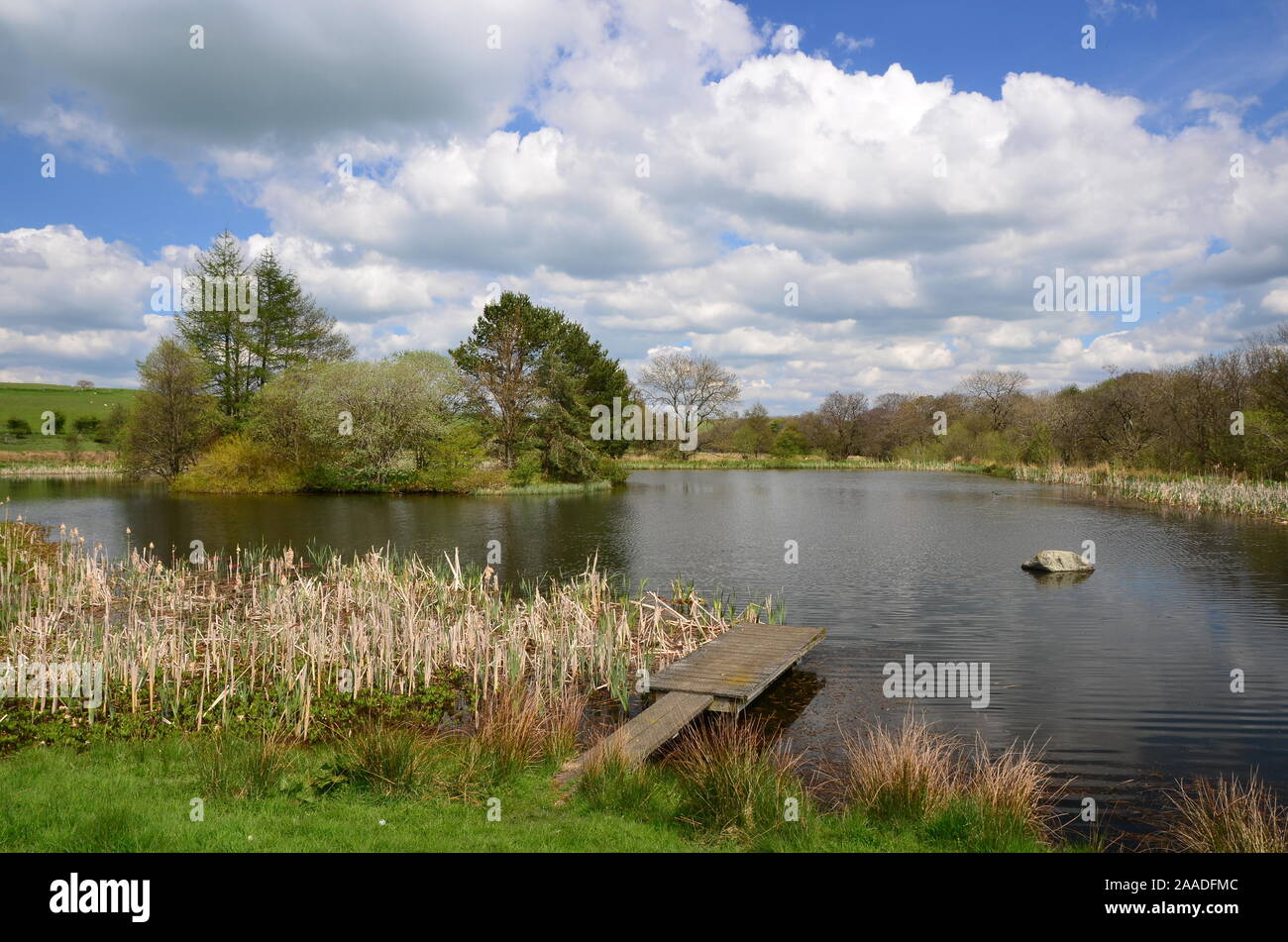 Pooley island hi-res stock photography and images - Alamy