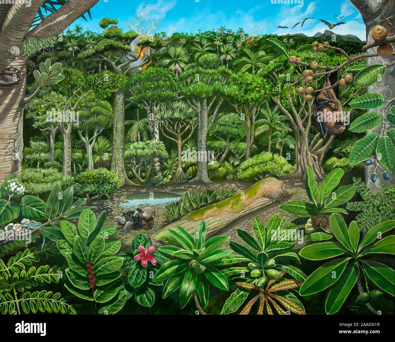 Illustration of extinct species in Mare aux Songes, 4,000 years ago ...