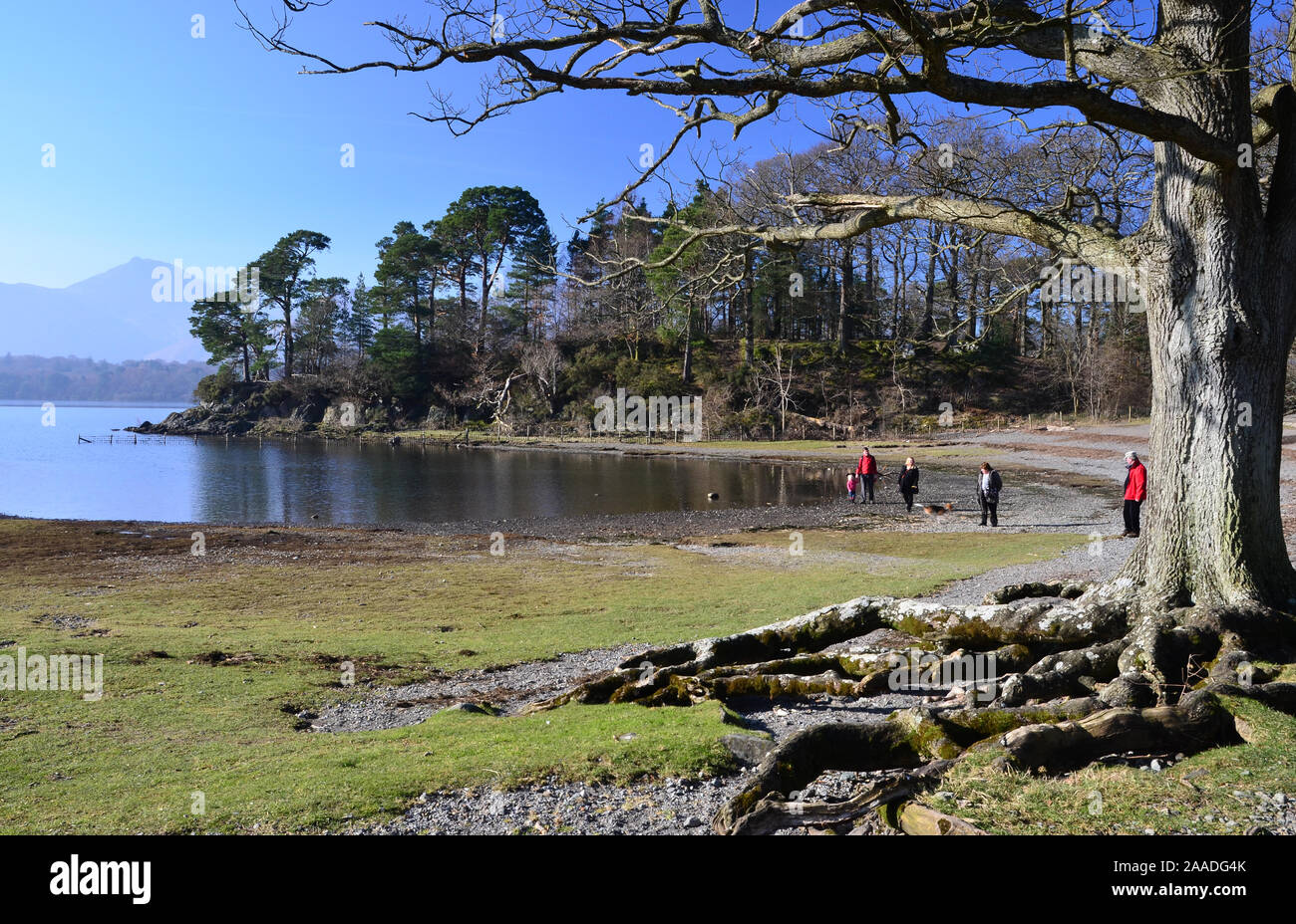 Friar's crag, Derwentwater, Keswick, Cumbria Stock Photo - Alamy