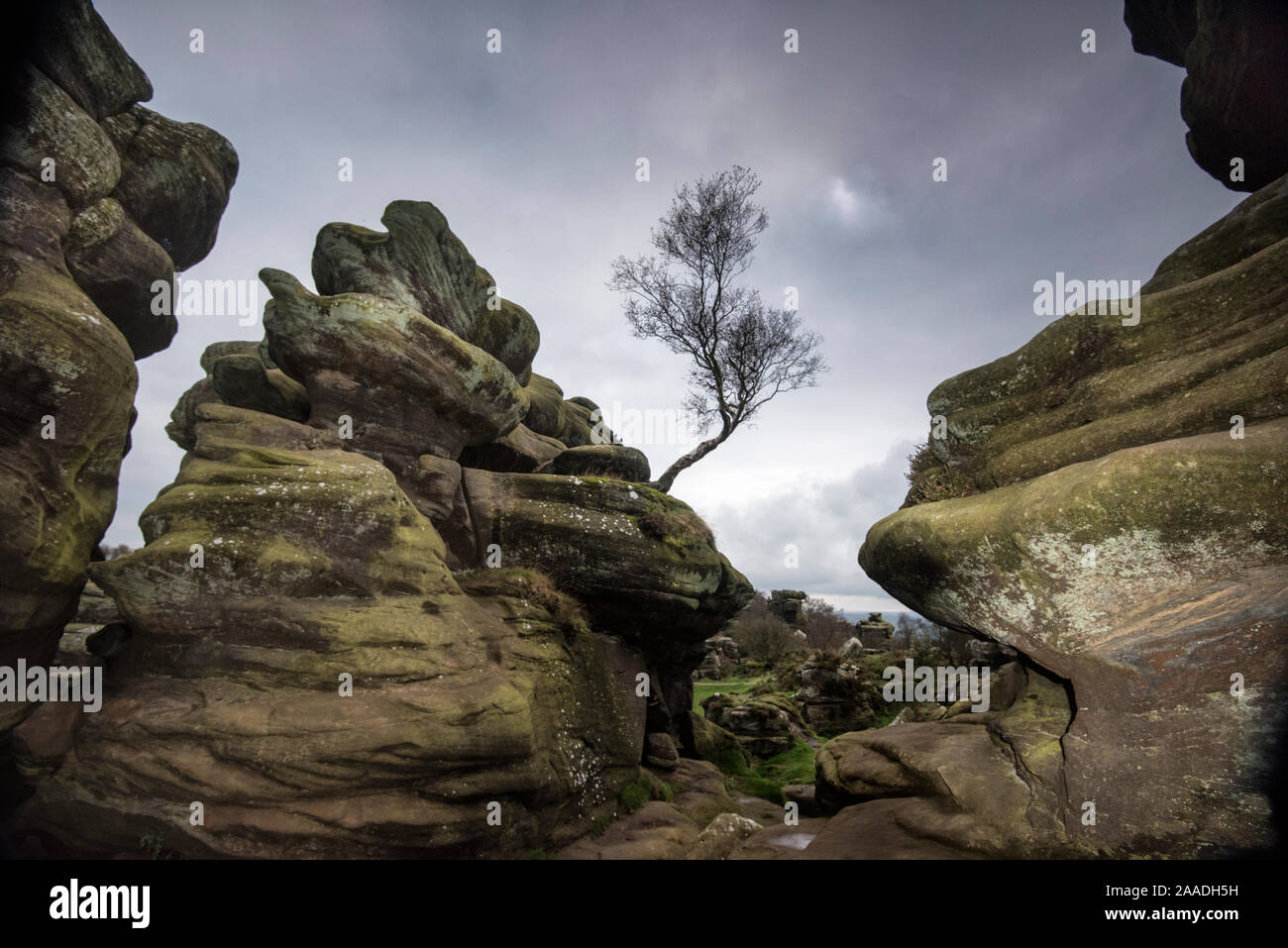 Rock formations at Brimham Rocks created by variable erosion of soft ...