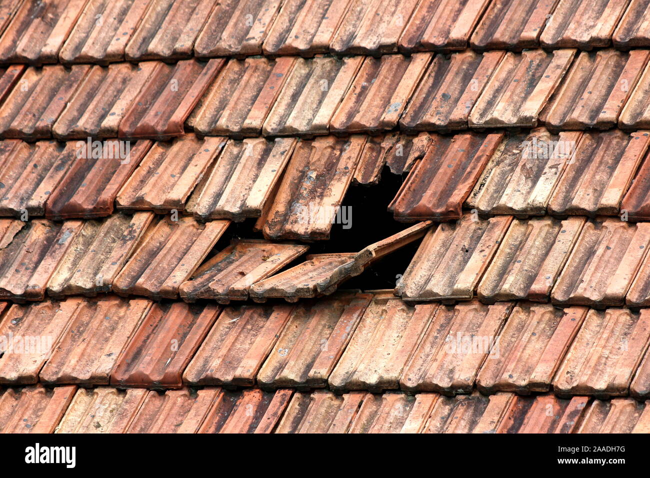 Broken dilapidated cracked partially covered with dirt red roof tiles ...