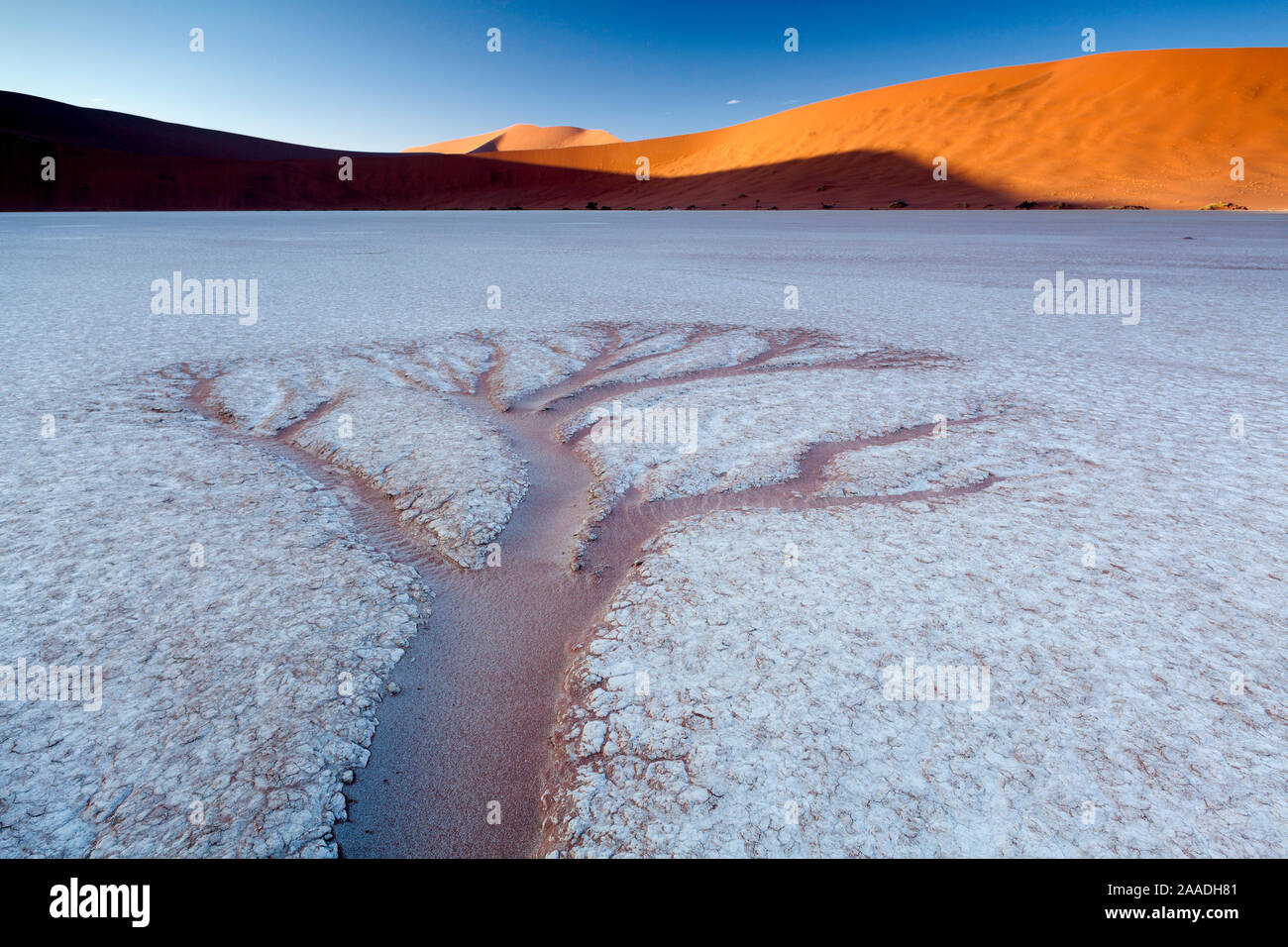 Dendritic pattern hi-res stock photography and images - Alamy