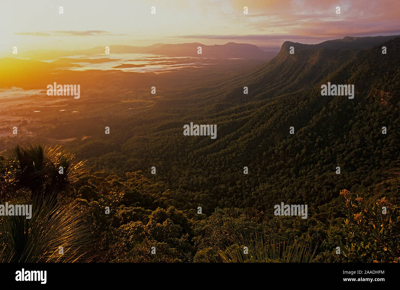 Border ranges world heritage hi-res stock photography and images - Alamy