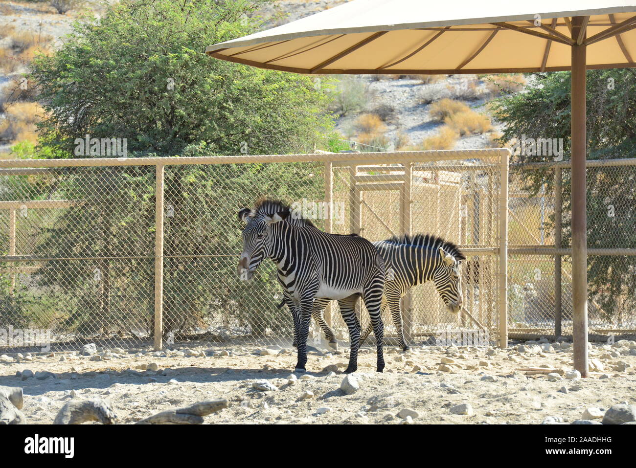 Zoo enclosure shade hi-res stock photography and images - Alamy