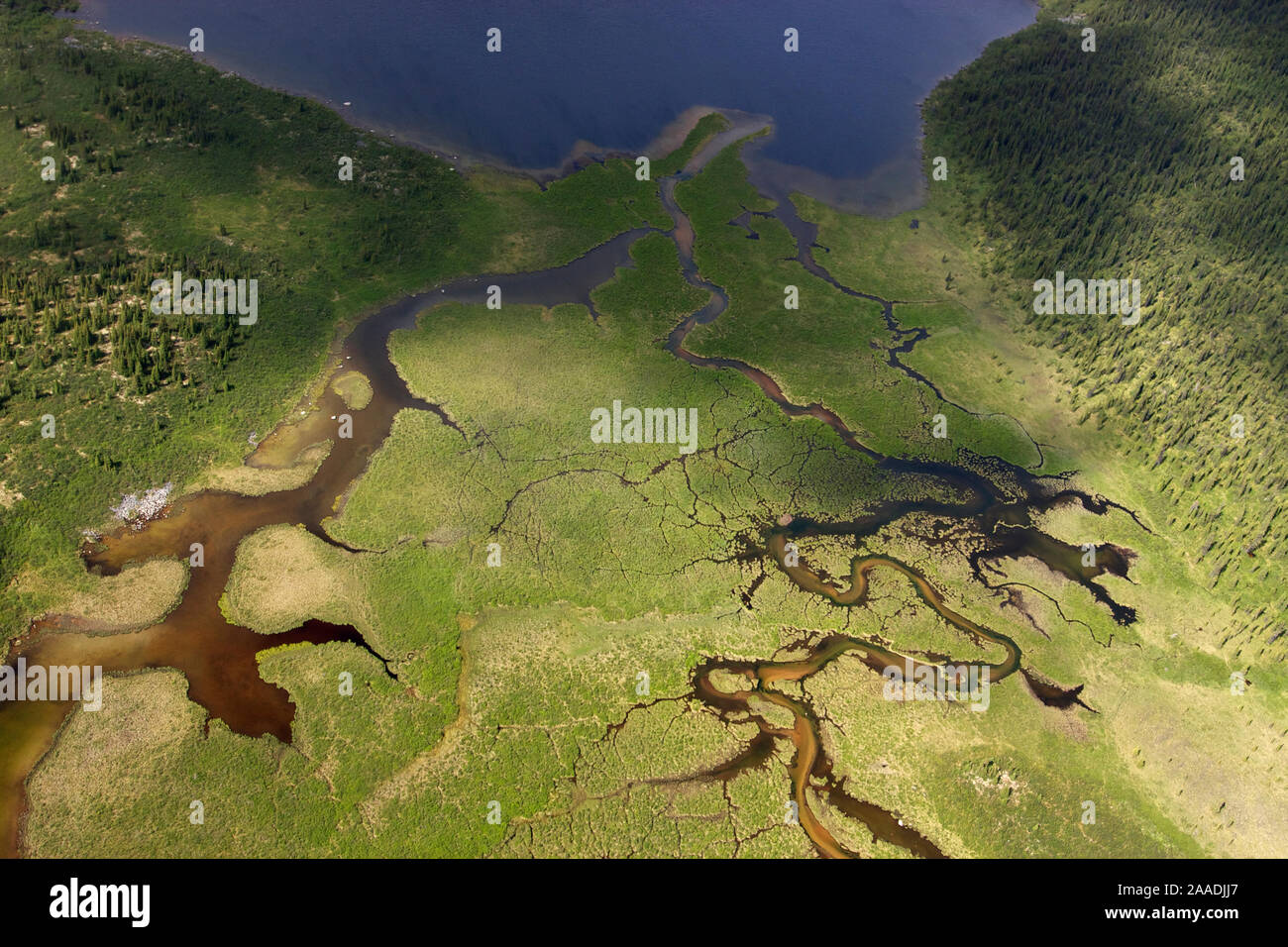 Aerial view of the Northern Rockies, Muskwa-Kechika Protected Area ...