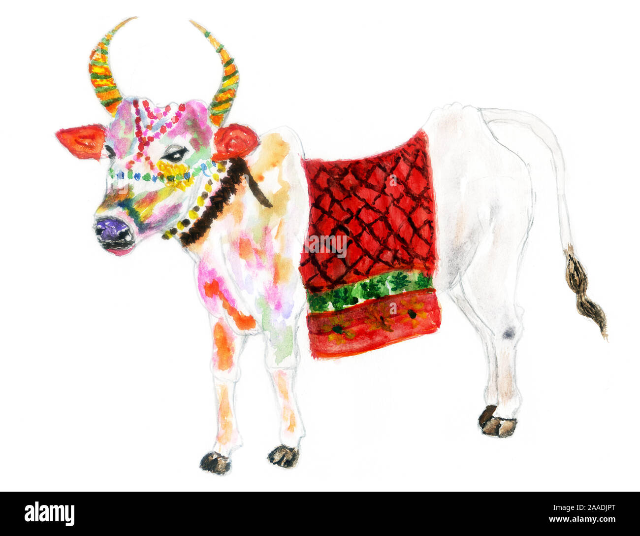 Pongal cow hi-res stock photography and images - Alamy