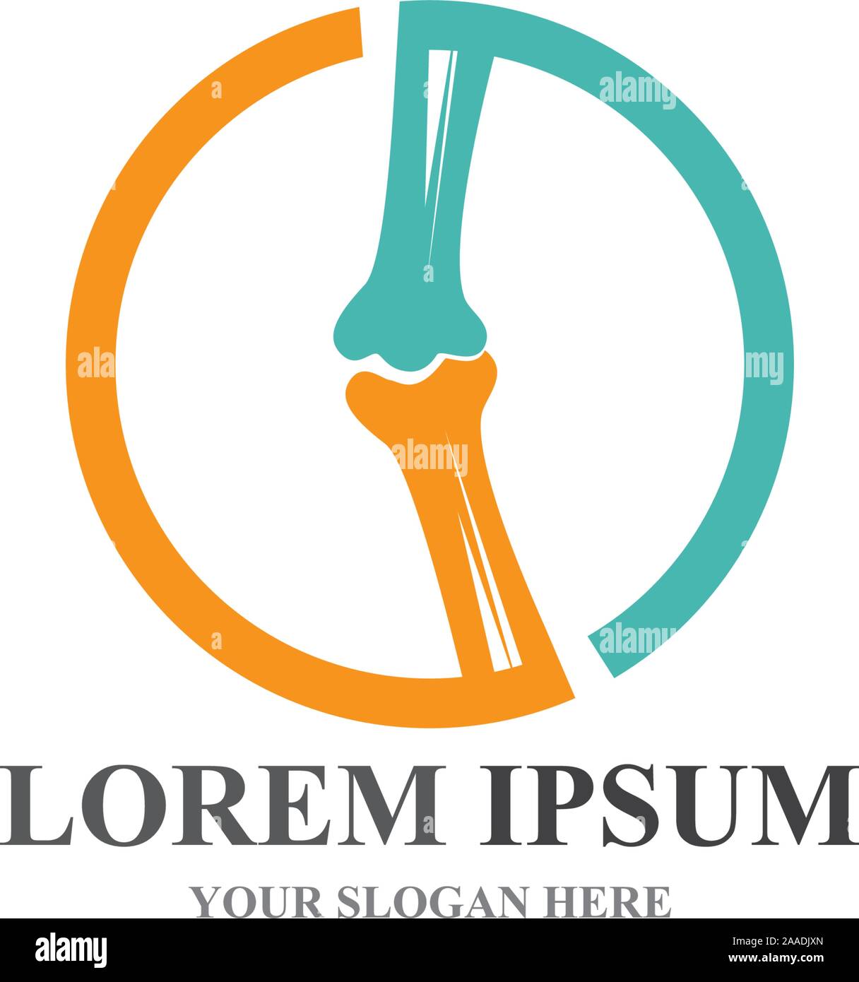 Illustration white spine diagnostic Cut Out Stock Images & Pictures - Alamy